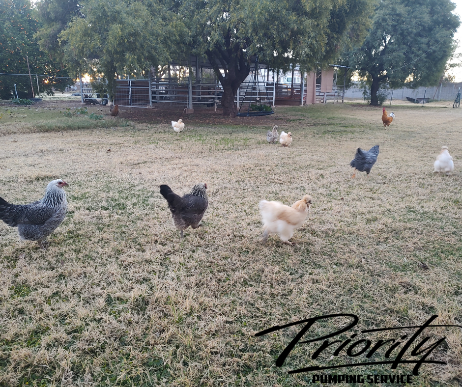 Commercial Septic Systems for Farms - Priority Pumping